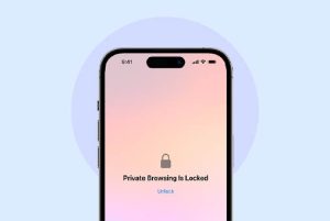 Private Browsing on iOS: Enhance Privacy with iProVPN